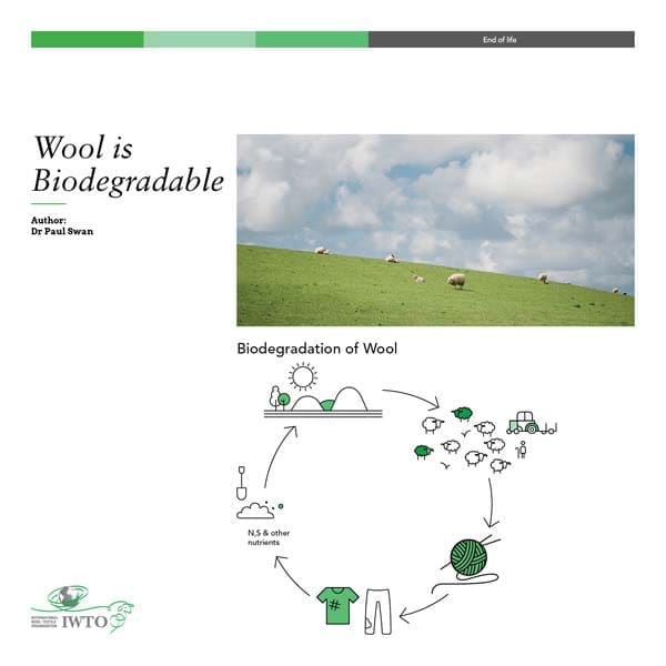 International Wool Textile Organisation | Global Authority | IWTO