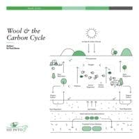 International Wool Textile Organisation | Global Authority | IWTO