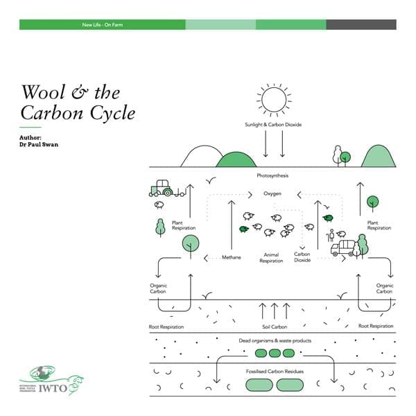 International Wool Textile Organisation | Global Authority | IWTO
