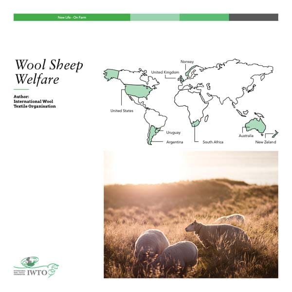 Get The Real Wool Facts Right Here | IWTO Wool Facts