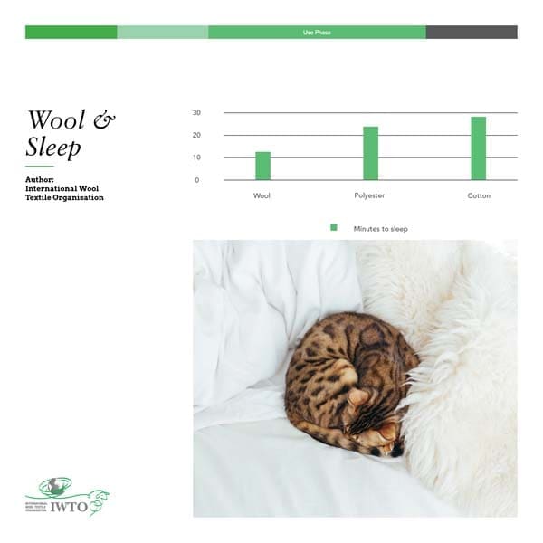 Get The Real Wool Facts Right Here | IWTO Wool Facts