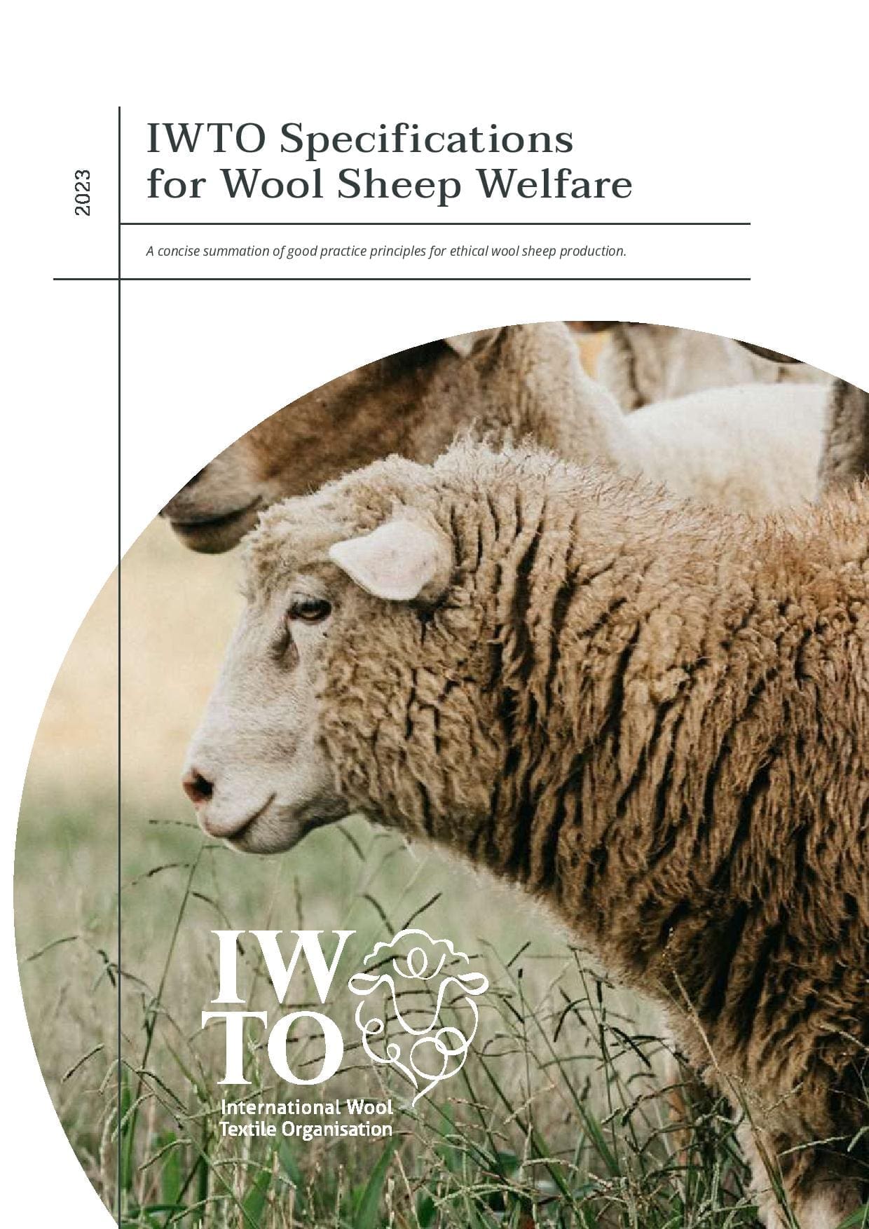 Wool Sheep Welfare Specification | IWTO
