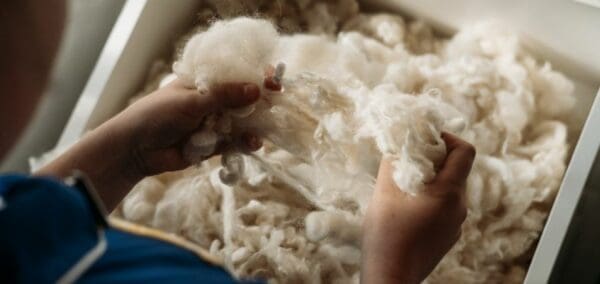 International Wool Textile Organisation | Global Authority | IWTO